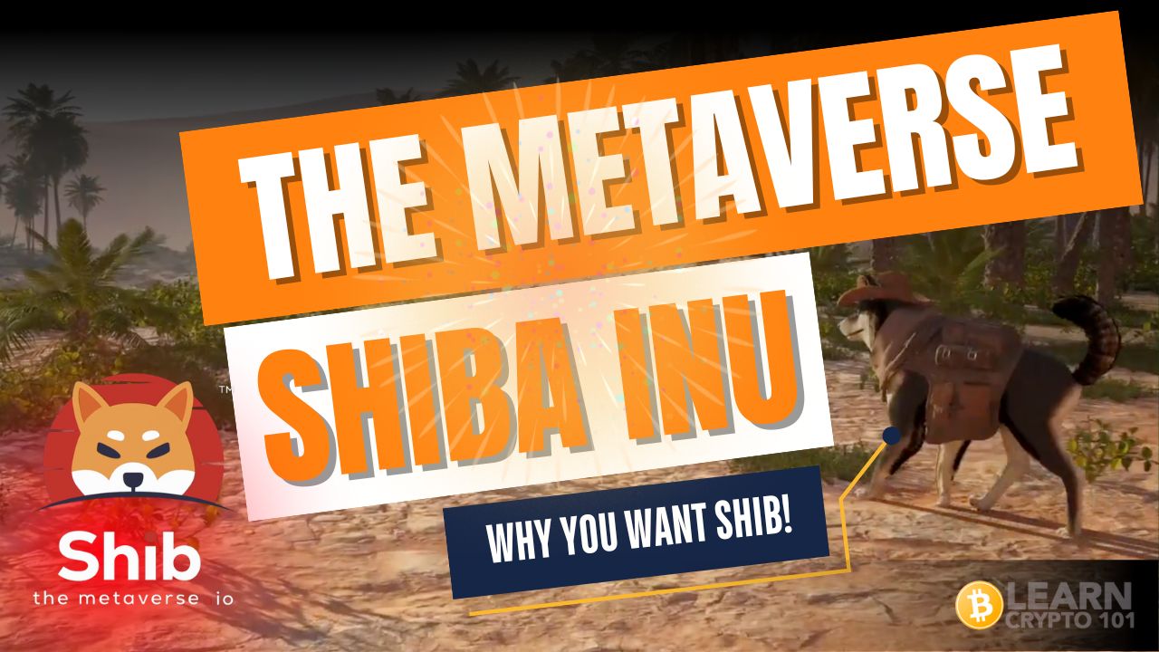 Shiba Inu - The Metaverse - LearnCrypto101.info